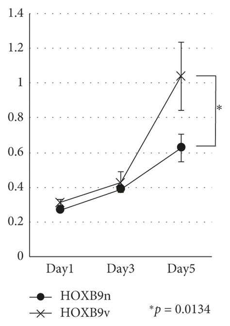 Ad Confirmation And Proliferation Of Stable Mcf7 Cell Lines That