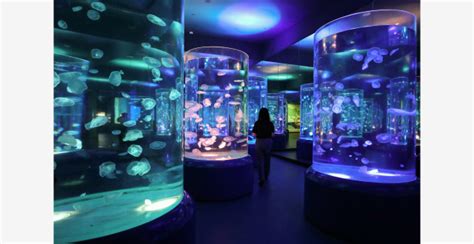 高质量发展调研行丨江西九江走进长江鄱阳湖水生生物保护中心 腾讯新闻