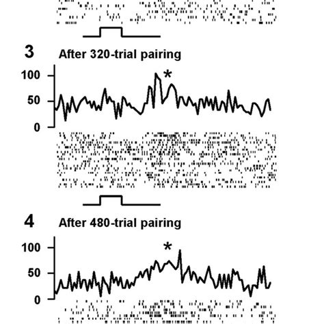 Auditory Cortex Neuronal Responses To A Visual Stimulus After Pairing