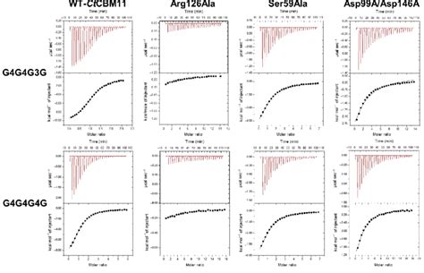 Representative Isothermal Calorimetry Titrations Of Binding Of Ctcbm11