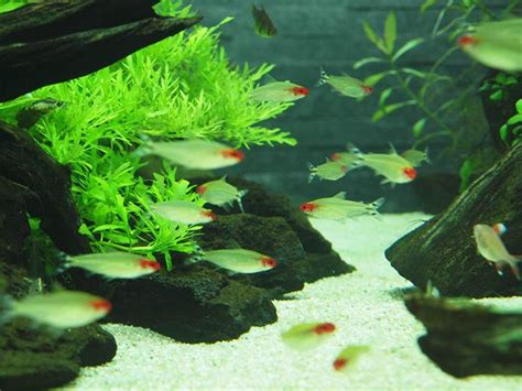 すみだ水族館 水野和男構造設計事務所