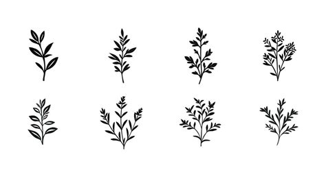 Silent Symphony Captivating Leaf Vector Art 34372620 Vector Art At Vecteezy