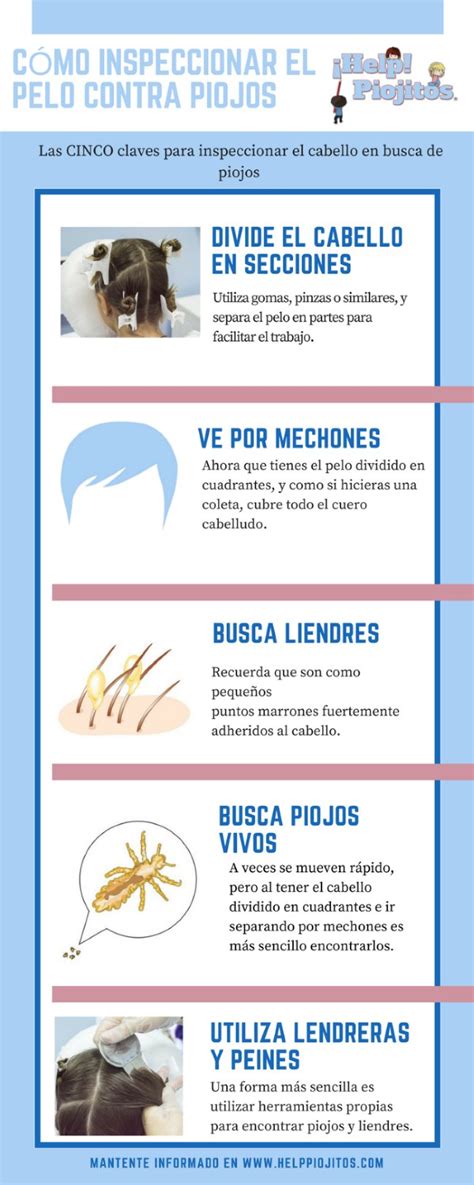 ¿cómo Saber Si Tengo Piojos O Si Se Ha Contagiado Mi Hijo O Hija