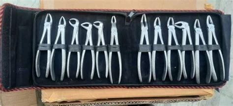 Stainless Steel Oracraft Extraction Forcep Kit At Best Price In Prayagraj