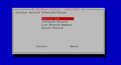 Introducing Zerotier Console The Rantings And Ravings Of A Madman