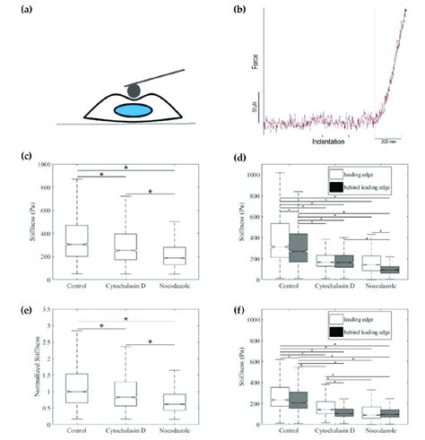 A Schematic Of Live Cell Indentation Via Afm B Force Curve