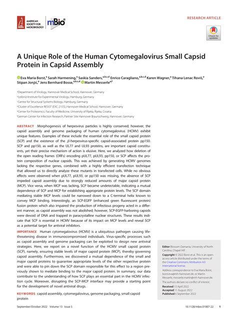 Pdf A Unique Role Of The Human Cytomegalovirus Small Capsid Protein