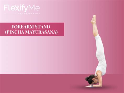 What Is Hatha Yoga Benifits And Beginner To Advanced Poses Guide