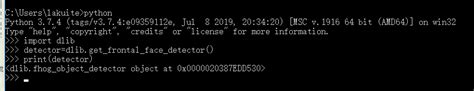 Dlib安装（windows10 Python37）dlib Cp37 Download Csdn博客