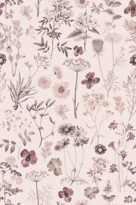 Floral Blush Wallpaper For Romantic Interiors