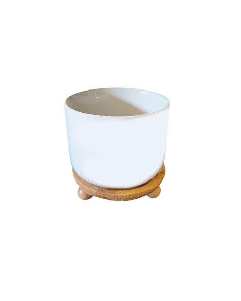 White Ceramic Pot W Wooden Saucer Rimba Garden Central