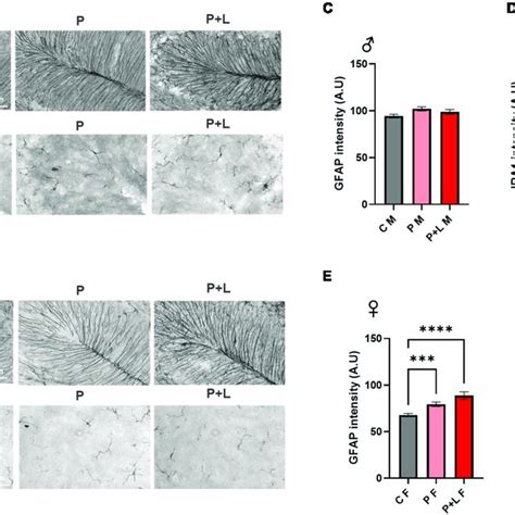 Clustering Analysis And Deg Identification A The Umap Plot