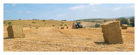 לכל ישראל שנת ברכה איגרת שנה טובה מגדולי המשוררים מקור ראשון