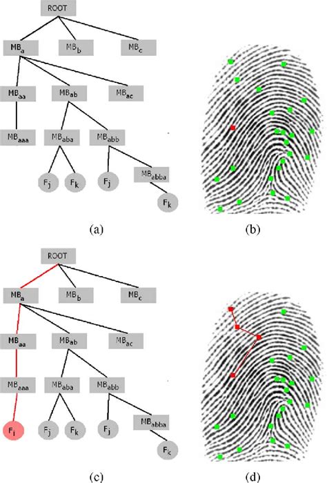 figure 5 from a framework for efficient fingerprint identification