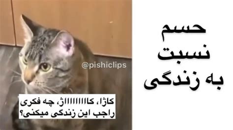 موودد موود گربه ای ادیت گربه ای دارک دخترونه میکس دارک موود از زندگی