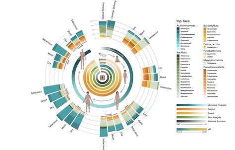 raya khanin on linkedin healthy skin microbiome skinmicrobiome