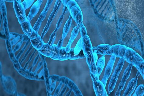 آزمایش Dna چگونه انجام می شود؟ روش انجام آزمایش Dna آموزشگاه بهفرنیا