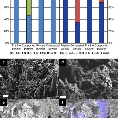 Identification Of Biochar Surface Modifications Induced By Download Scientific Diagram