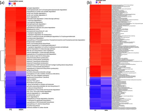 The Correlations Between The Priming Effect Pe In Week 4 Microbial