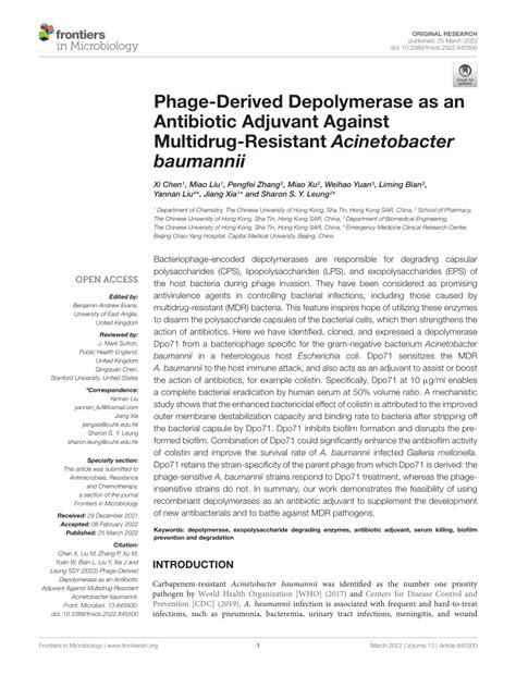 Pdf Phage Derived Depolymerase As An Antibiotic Adjuvant Against