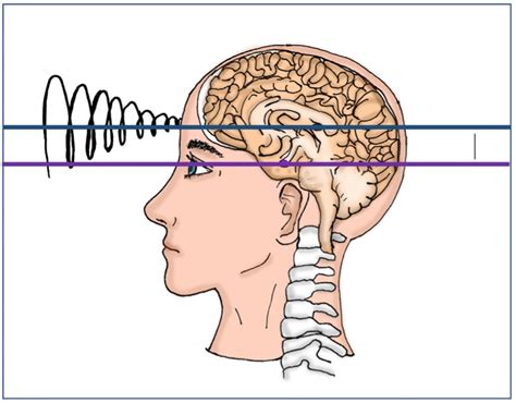 Which Chakra Is Associated With The Pituitary Gland Gemstone Therapy