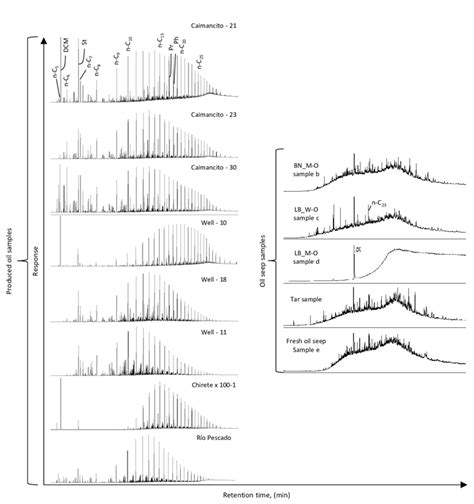 18 Gc Fid Chromatograms Of Produced Oils From The Lomas De Olmedo