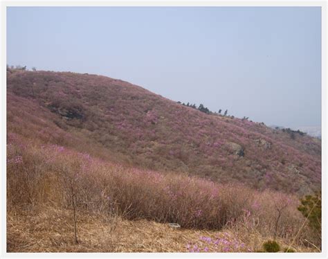 영취산 1 한마음 등산선교회 희망찬 교회 여수