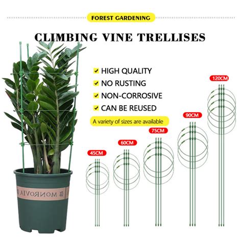 Climbing Vine Trellis Plant Support Pole Column Clematis Lotus Season