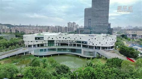 锚定现代化 改革再深化｜广东广州：坚持以童为本 推动儿童友好城市建设凤凰网视频凤凰网