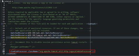 [apache tomcat] 유효하지 않은 도메인 오류
