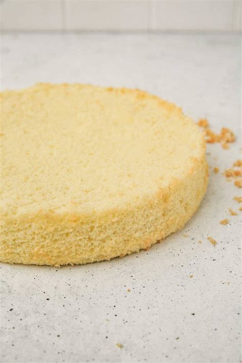 Best Genoise Sponge Recipe Airy And Fluffy Only 3 Ingredients