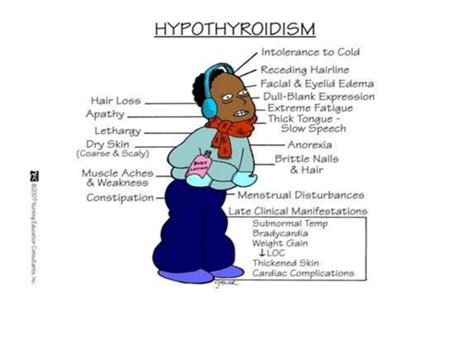 5 Thyroid Disorder Hypo And Hyper Pdf Thyroid Disorders Endocrine