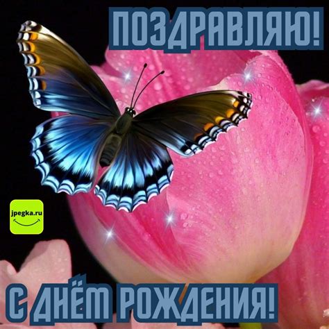 Открытки с Днём Рождения с бабочками: 36 картинок