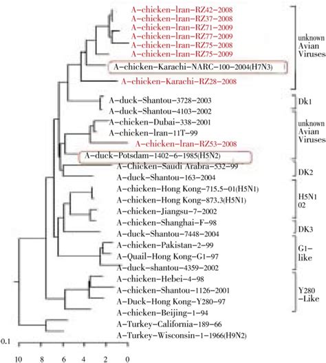 Genetic Analysis Of Polymerase Complex Pa Pb1 And Pb2 Genes Of H9n2