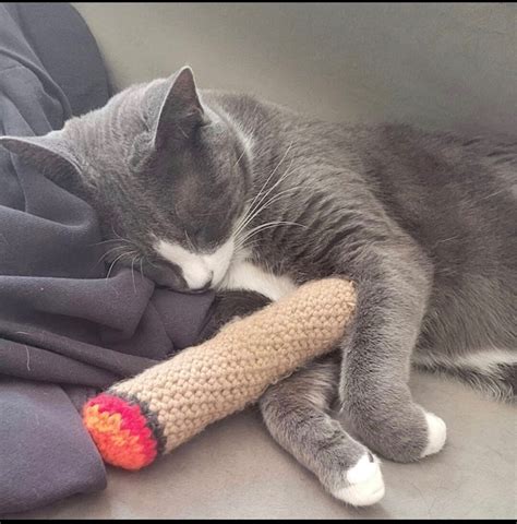 Catnip Doobie Kicker Catnip Joint Catnip Cat Toy Kicker Catnip Blunt