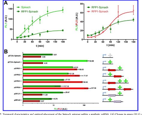 Figure 2 From The Spinach Rna Aptamer As A Characterization Tool For Synthetic Biology