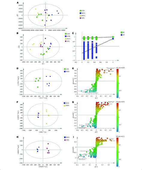Extensive Targeted Metabolome And Multivariate Statistical Analysis
