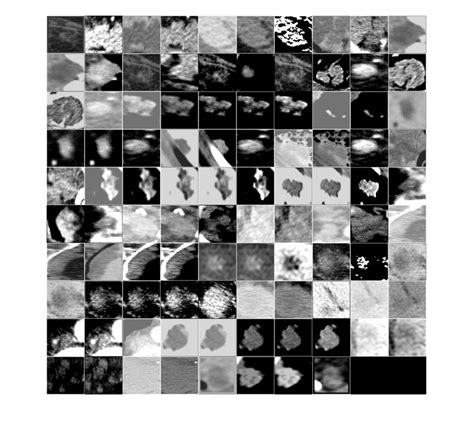 A Collection Of The 2d Cnn Generated Features Download Scientific Diagram