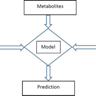 Computational Data Modeling And Prediction Download Scientific Diagram