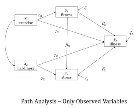 The Four Models You Meet in Structural Equation Modeling - The Analysis Factor