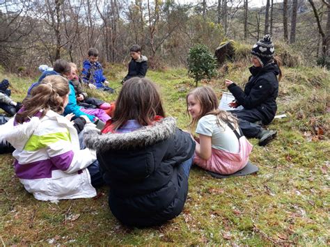 Mindfulness In The Woods Coigach And Assynt Living Landscape