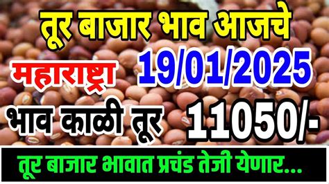 तूर बाजार भाव वाढले 19 फेब्रुवारी 2025 Tur Bhazar Bhav Today