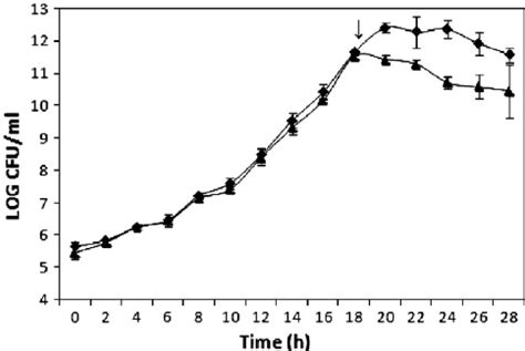 Schematic Diagram Of MBR Setup Download Scientific Diagram