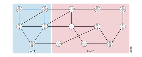 LSP Labels Juniper Networks
