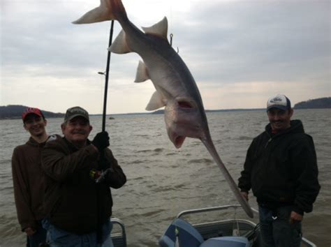 Dempsey Spoonbill Fishing Guide Service Grand Lake Ok
