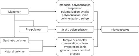 Different Textile Applications And Techniques Of Chitosan Based