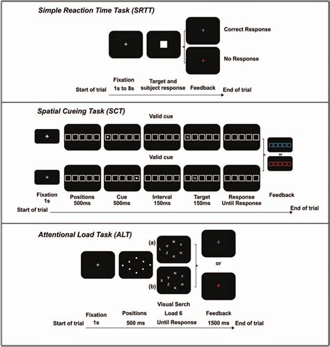 The Sequence Of Events Presented In Three Sets Of Experiments Top Download Scientific Diagram
