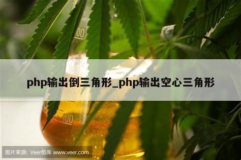 Php输出倒三角形php输出空心三角形 陕西卓智工作室
