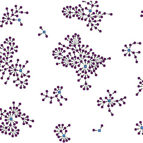 Recruitment Network Diagram For Respondent Driven Sampling Survey Of Download Scientific