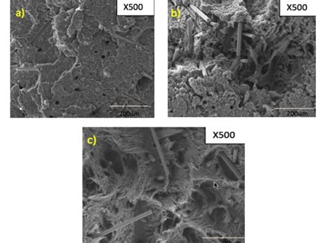 Sem Micrographs A 10 Wt Rcf Untreated Pp Composite B 10 Wt Download Scientific